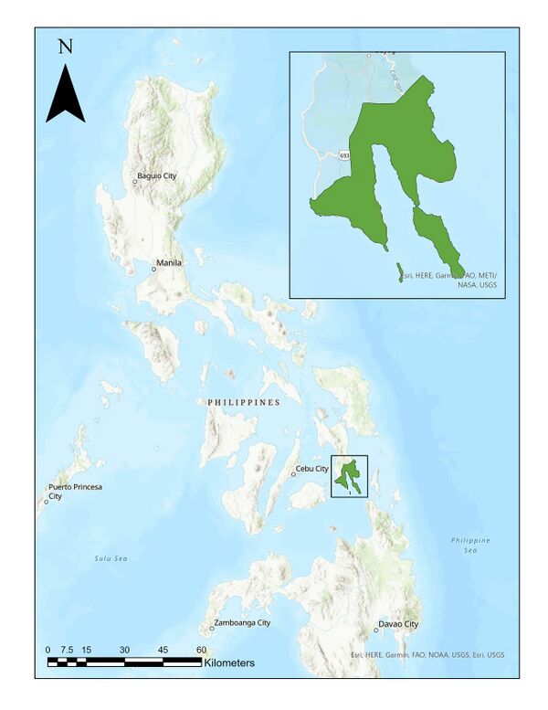 Flood Mapping and Area Calculation of Flood Extent Using Sentinel-I SAR ...